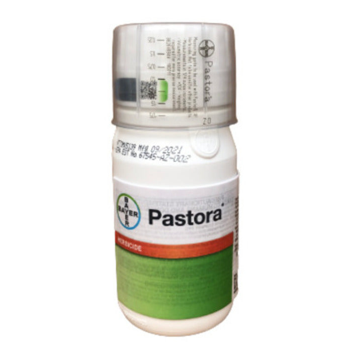 Pastora Herbicide | Nicosulfuron & Metsulfuron Methyl – Chemical Warehouse